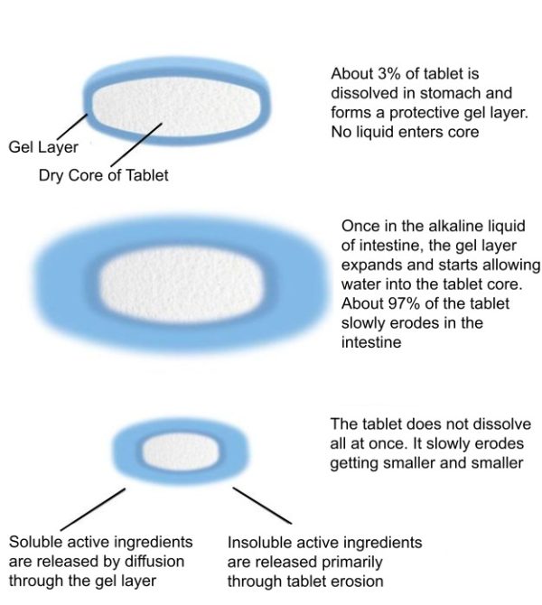 Extended-Slow-Release | Nutritional Supplement Manufacturers