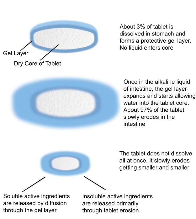 Extended-Slow-Release | Nutritional Supplement Manufacturers